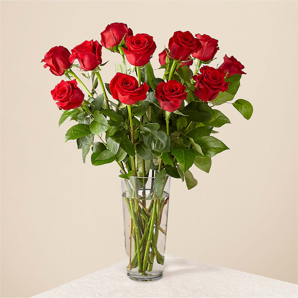 Long Stem Red Rose Bouquet–The Arrangement